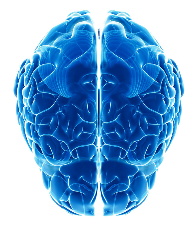 NeurOptics | The Smart Approach to Pupillary Evaluation