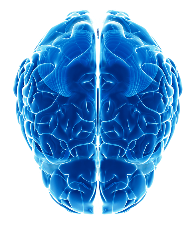 The Smart Approach to Pupillary Evaluation - NeurOptics